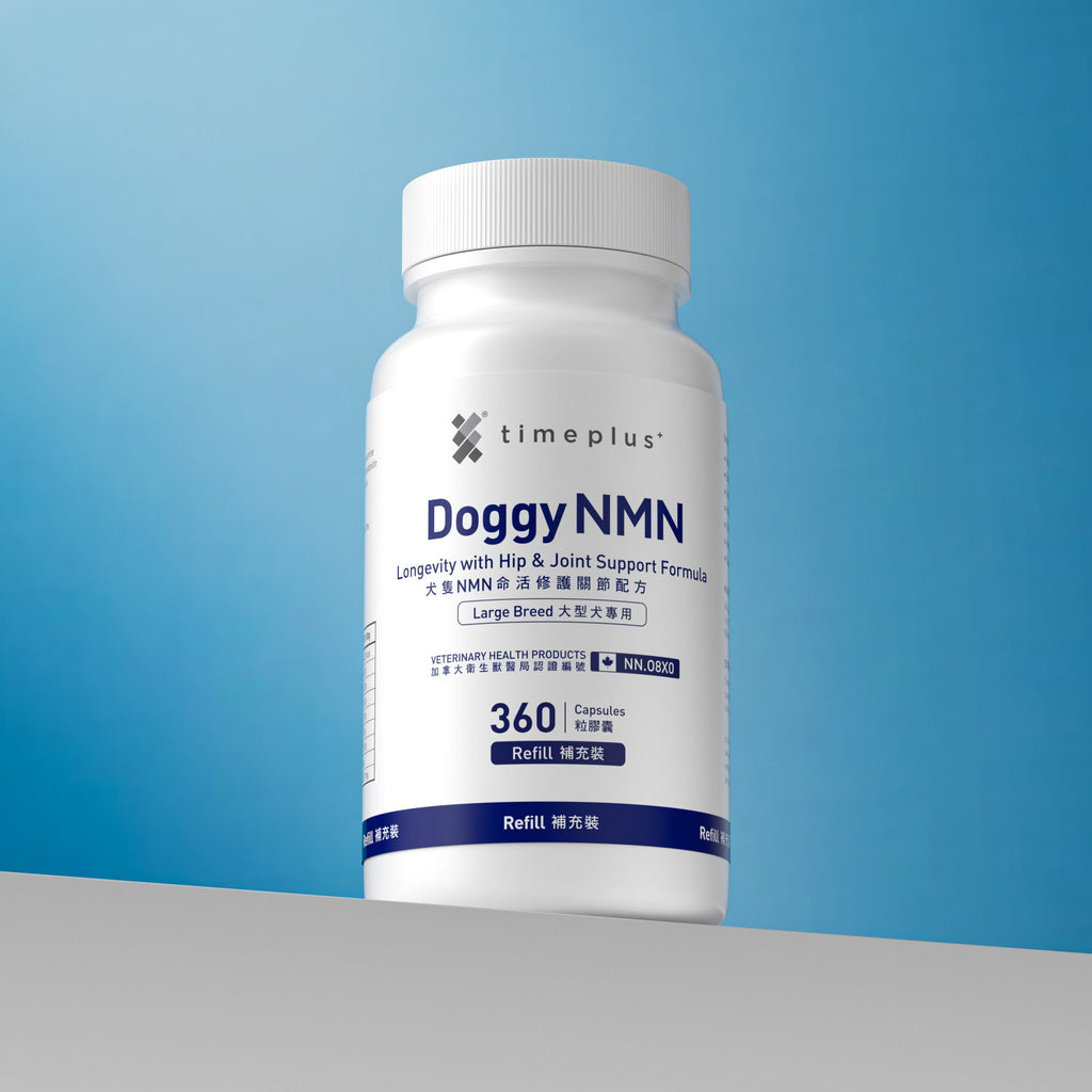 timeplus+ Doggy NMN Longevity with Hip & Joint Support Formula Refills ...